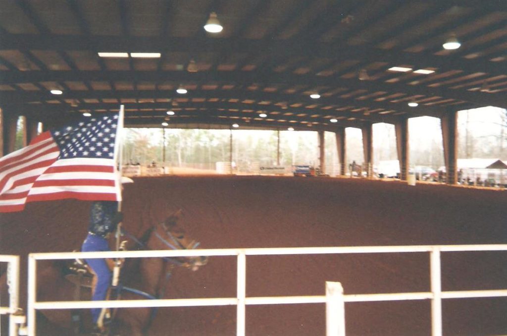 Steel Riding Arena Buildings | Covered Arenas & Equestrian Kits